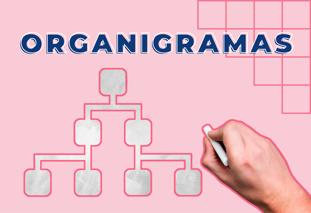 Tipos De Organigramas ¿cuál Emplear En Mi Empresa Pandapé